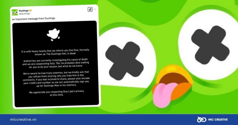 Vén màn quá trình "khai tử" cho Duolingo và bài học đằng sau